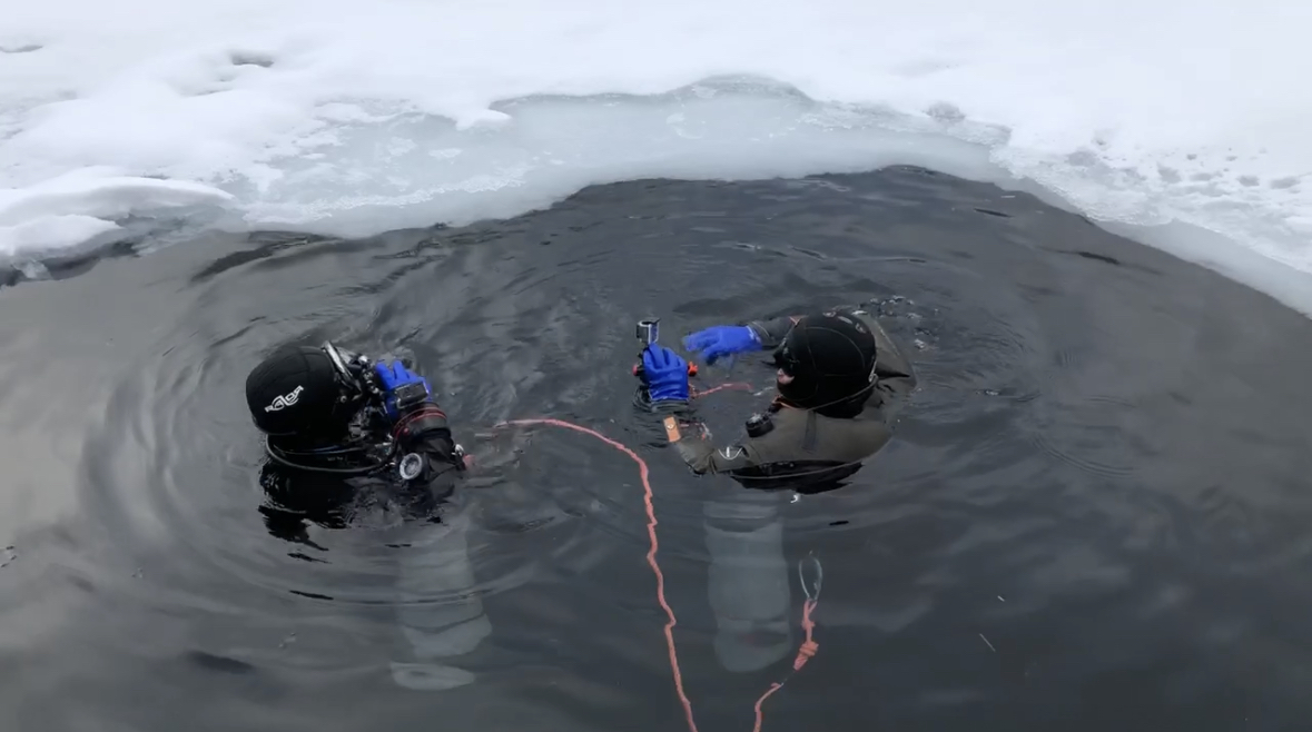 Ice Diver - Die Tauchschule